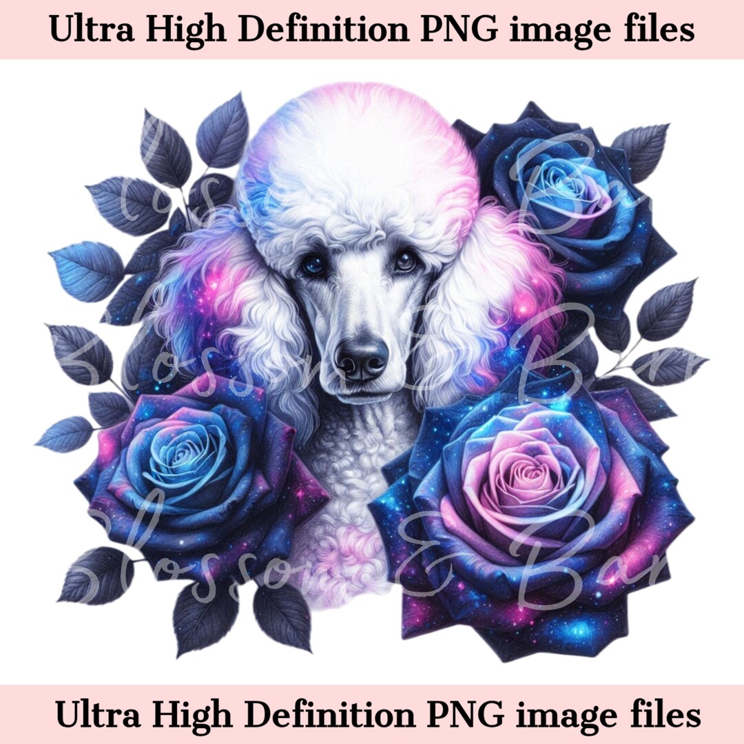 Digital White Standard Poodle PNG Galaxy PNG - Cute Poodle PNG Instant ...