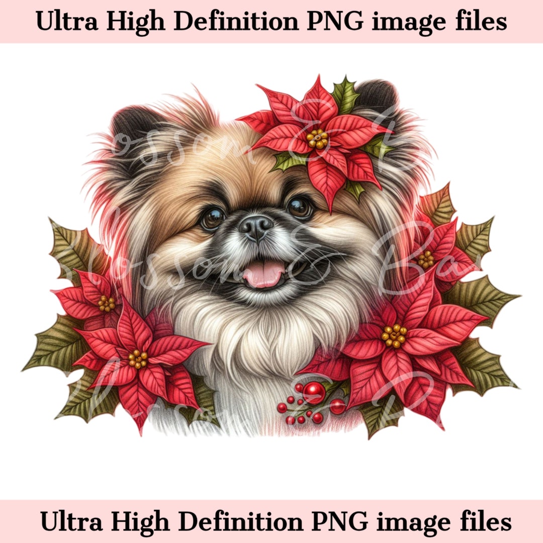 Digital Christmas Pekingese Dog PNG Holiday Dog Art - Pekingese Puppy ...