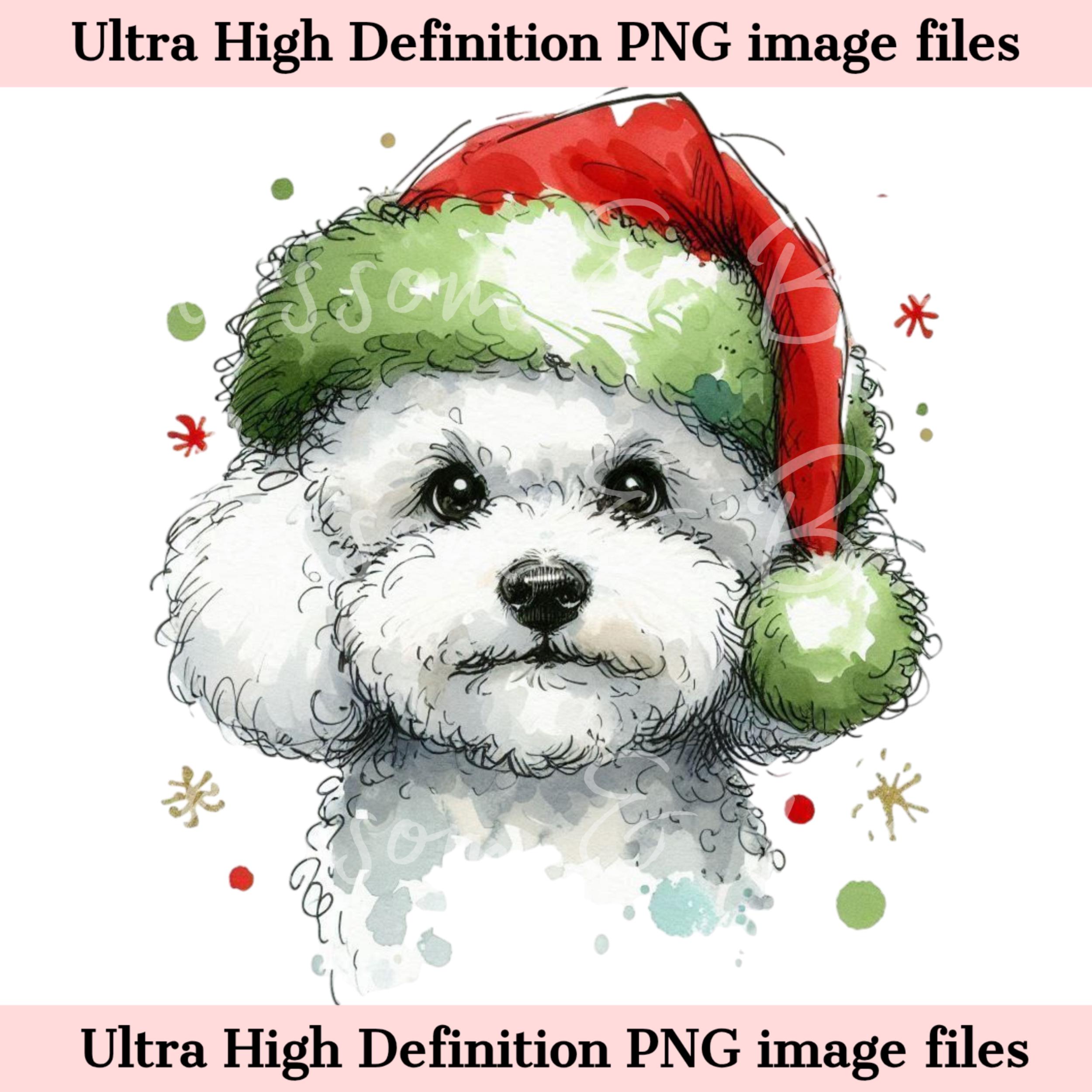 Digital - Cute Christmas Bichon Frise PNG Christmas Dog Portrait PNG ...