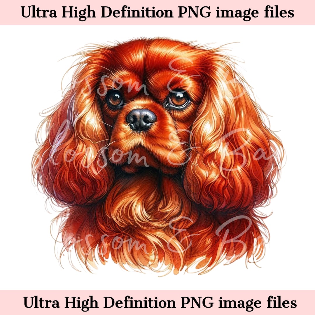 Digital Cavalier King Charles Spaniel PNG Watercolor Dog Portrait PNG ...