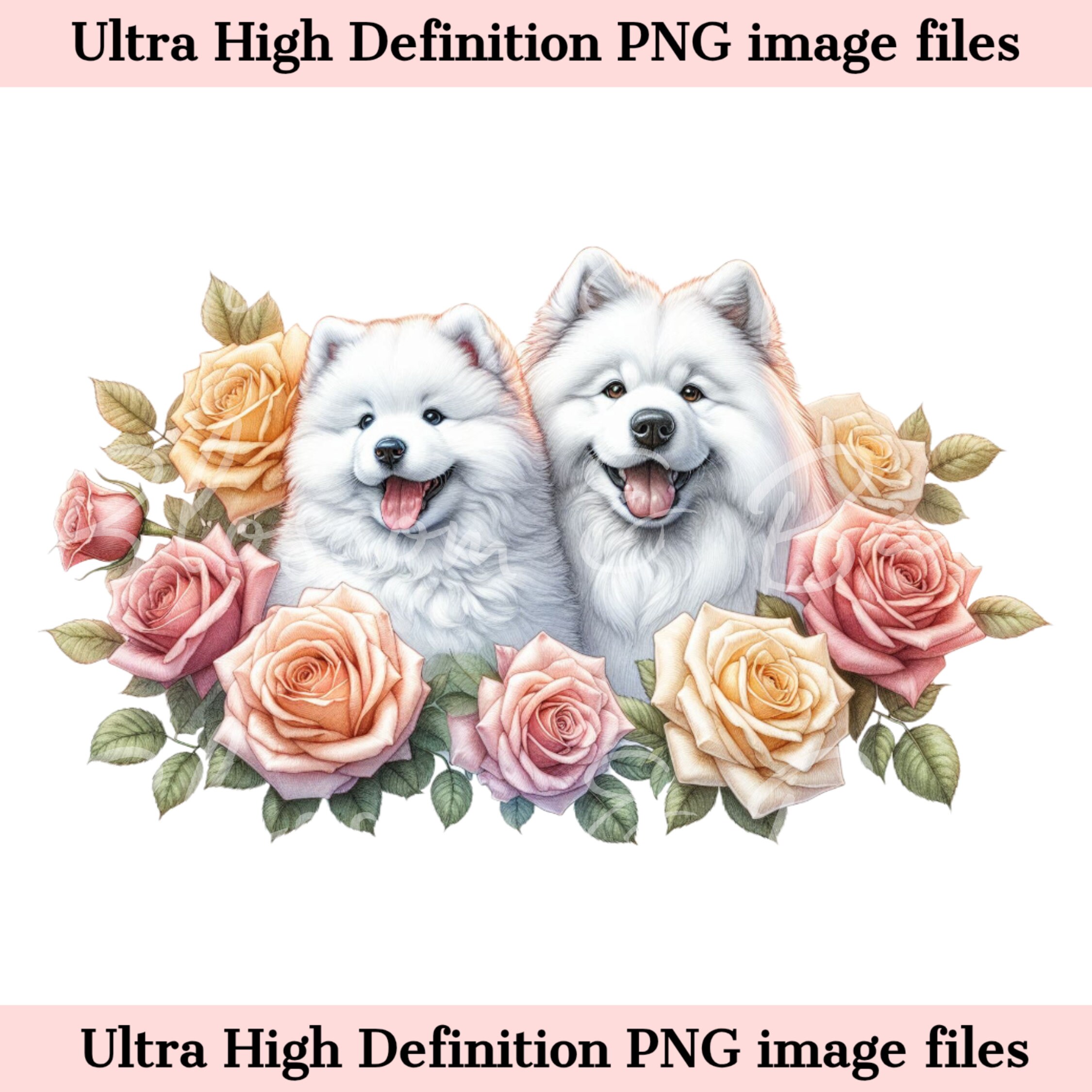 Digital Samoyed PNG Mom and Puppy PNG Samoyed Dog Breeder PNG Instant ...