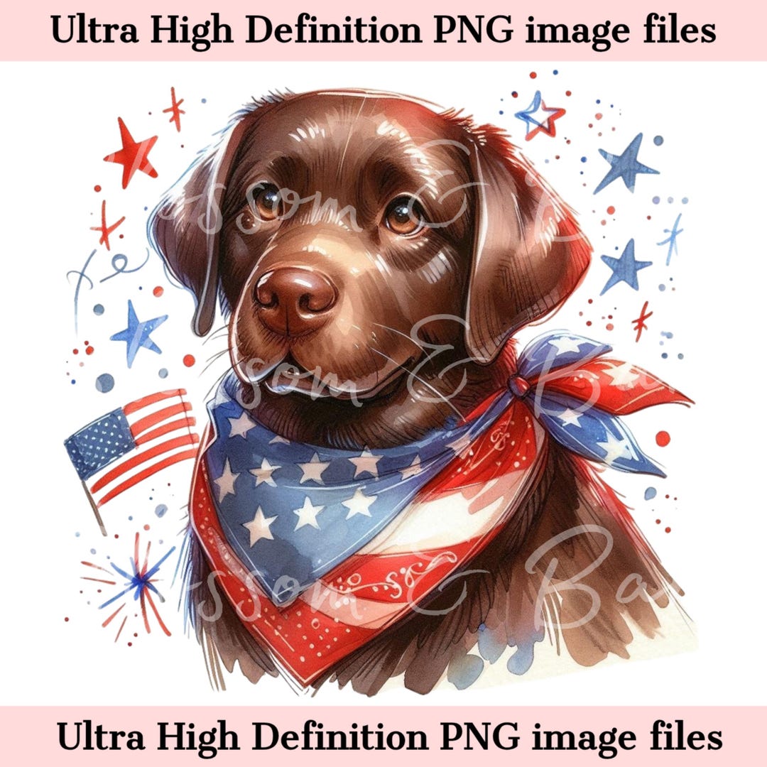 Digital Cute Chocolate Lab PNG Printable Dog Portrait PNG - Summer ...