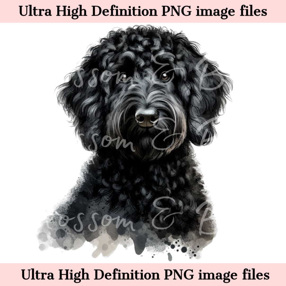 Digital Black Doodle Dog PNG Beautiful Labradoodle PNG - Dog Art PNG ...