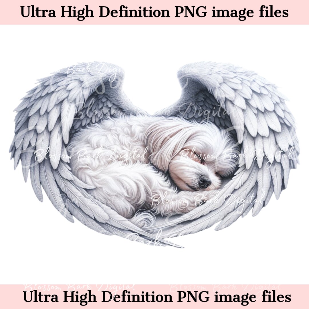 Digital Maltese Dog PNG Dog Memorial PNG - Pet Maltese Portrait With ...