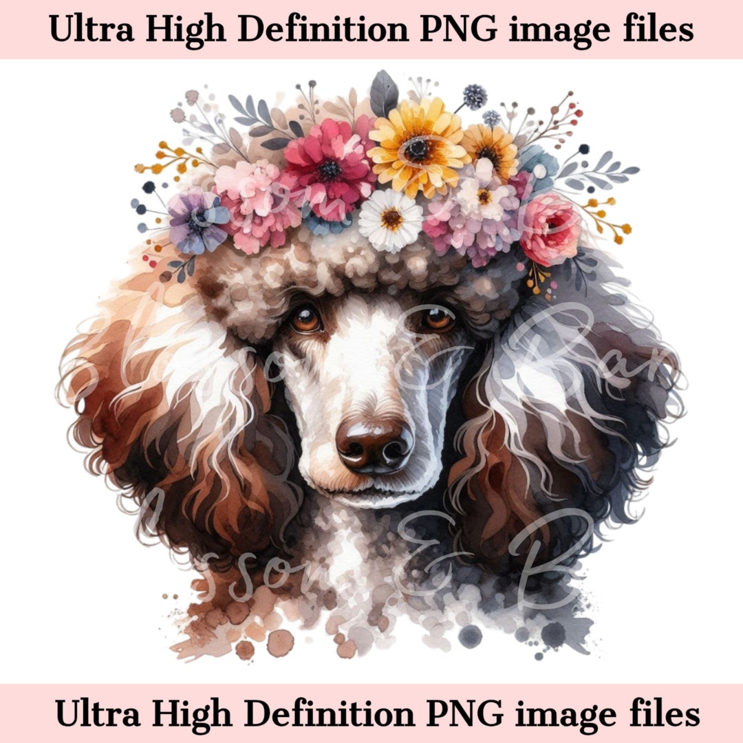 Digital Chocolate Merle Poodle PNG Elegant Watercolor Dog PNG - Poodle ...