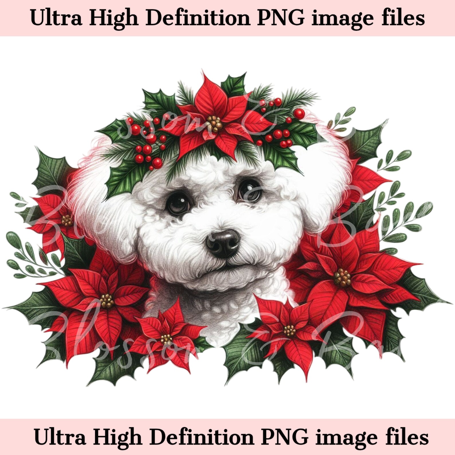 Digital Christmas Bichon Frise Dog PNG Holiday Dog Art Bichon Puppy PNG ...
