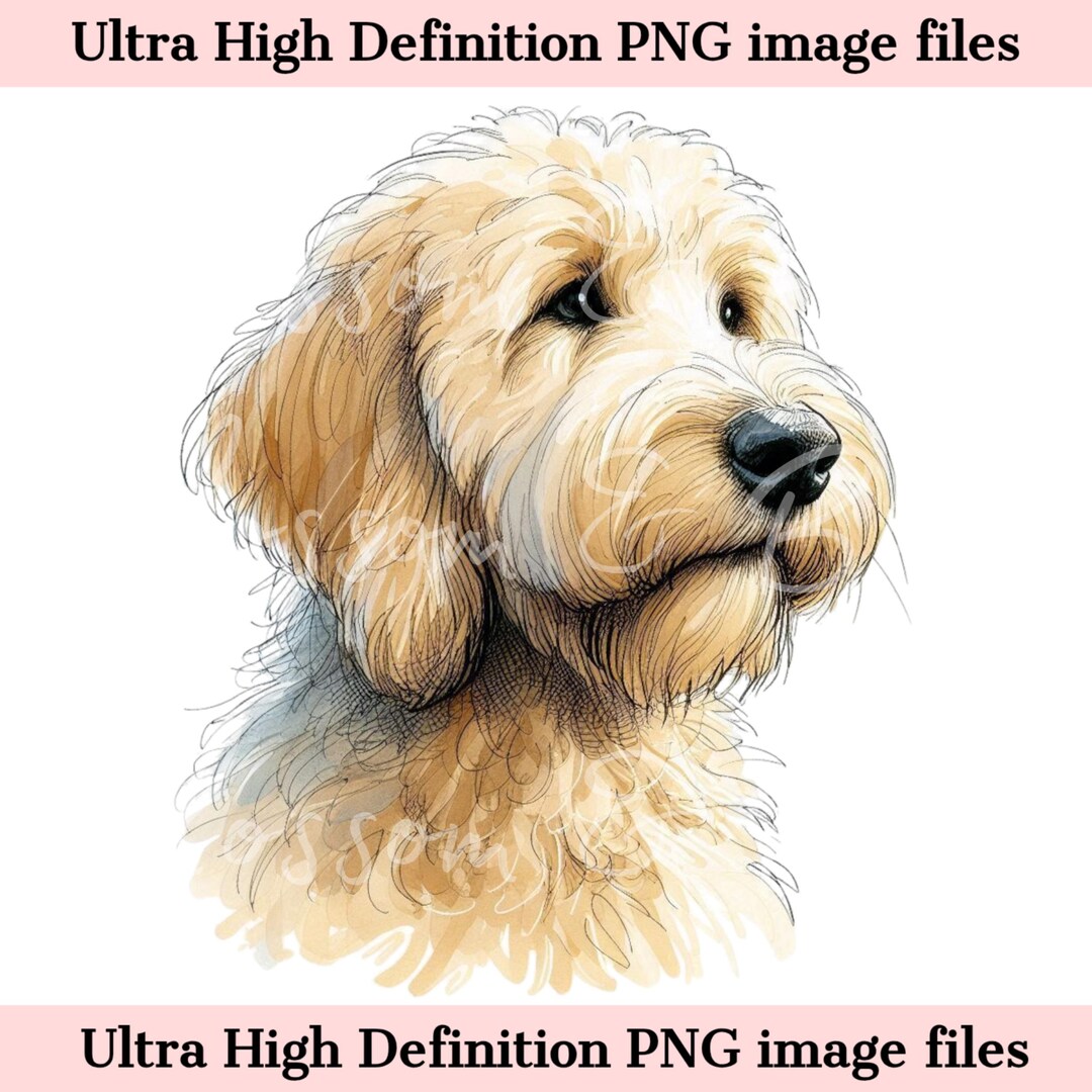Digital Goldendoodle PNG Doodle Dog PNG - Watercolor Labradoodle PNG ...