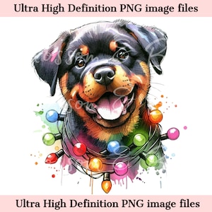 Digital - Cute Rottweiler PNG Christmas Dog Portrait PNG - Download for ...