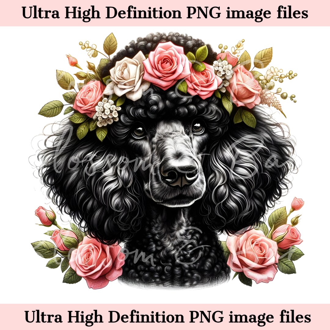 Digital Black Poodle PNG Flower Dog - Black Standard Poodle Puppy PNG ...