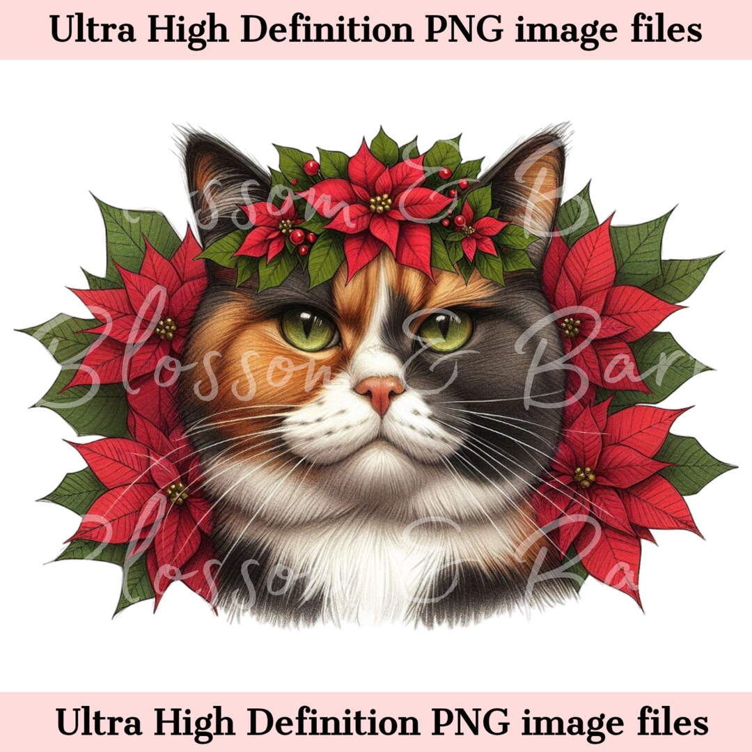 Digital Christmas Grumpy Calico Cat PNG Holiday Cat Art - Calico Kitten ...