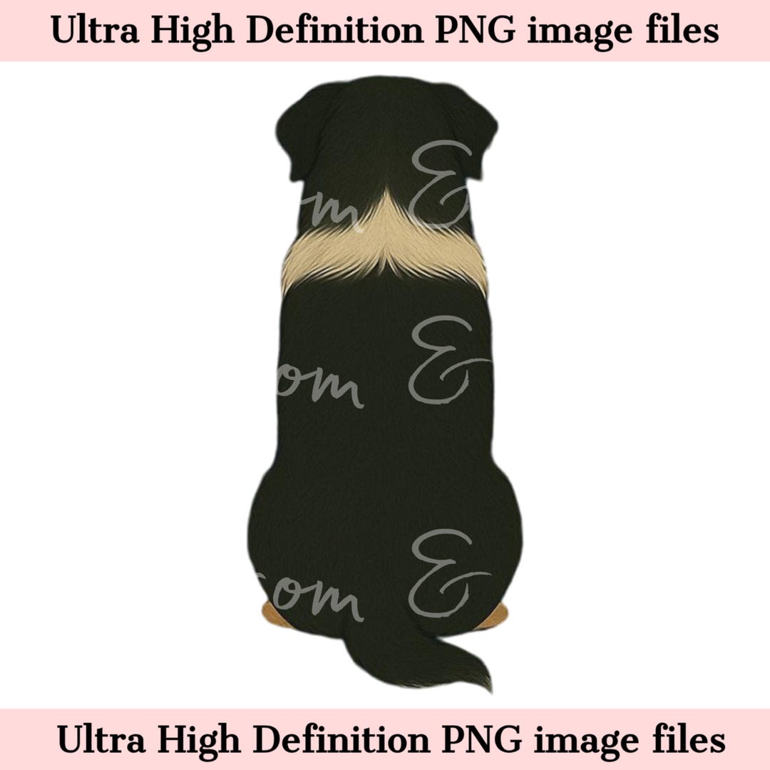 Digital - Back View Australian Shepherd Dog PNG Black Tri Dog Memorial ...