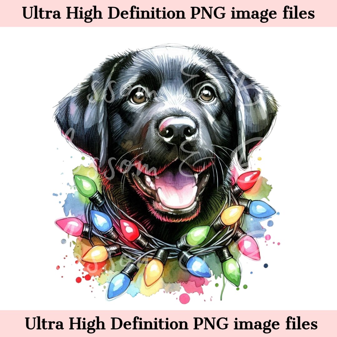 Digital - Cute Black Labrador PNG Christmas Dog Portrait PNG - Download ...