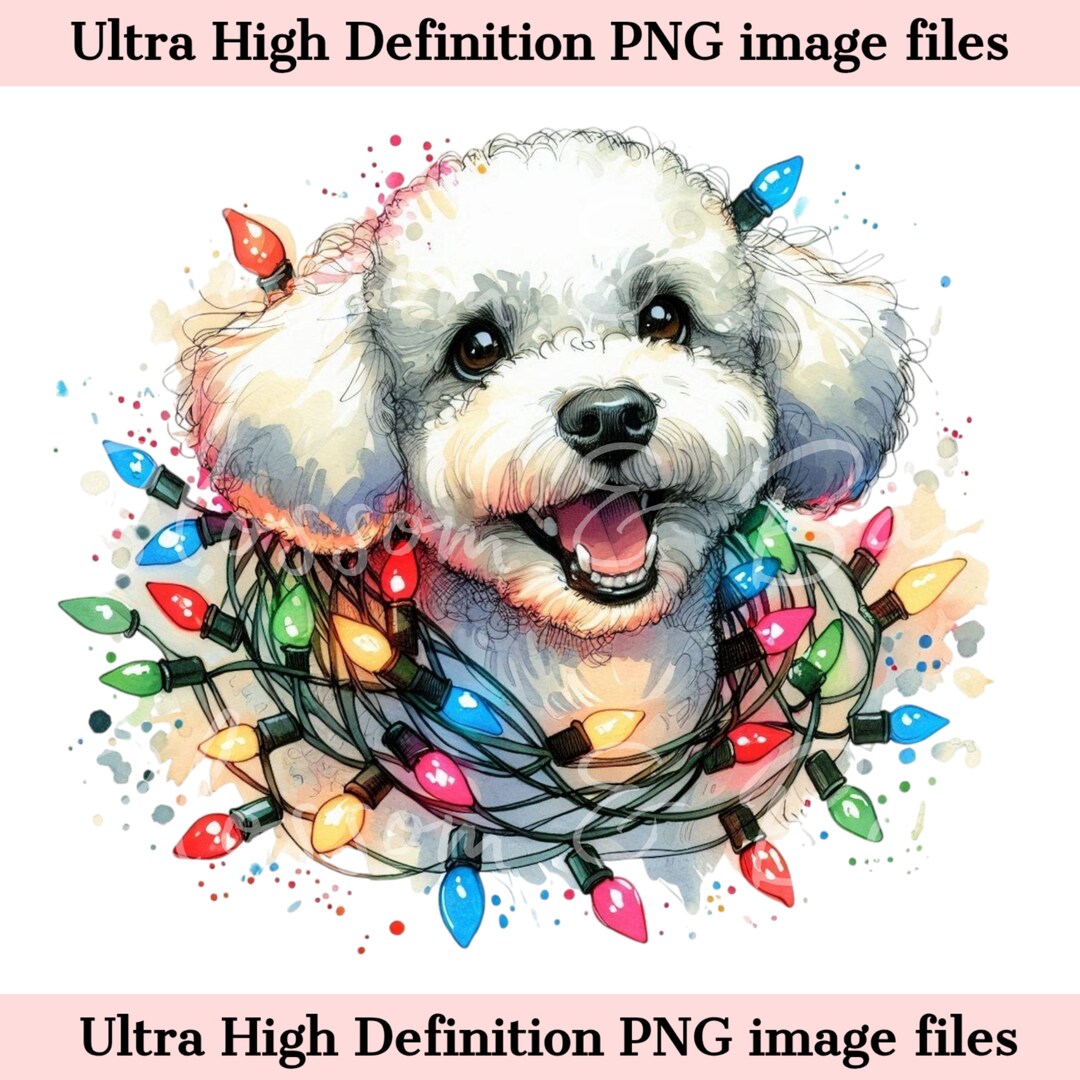 Digital - Cute Bichon Frise PNG Christmas Dog Portrait PNG - Download ...