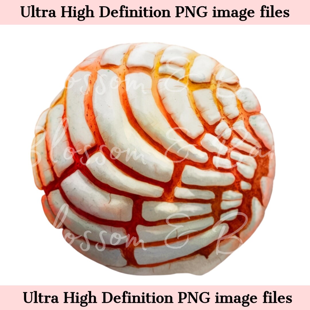 Digital Concha PNG Simple Food PNG - Kitchen and Cooking Clip Art ...