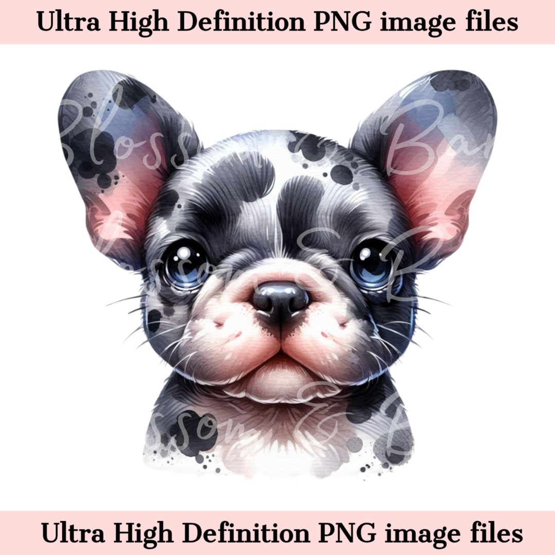 Cute French Bull Dog PNG - Instant Download for Frenchie Bulldog Mom ...