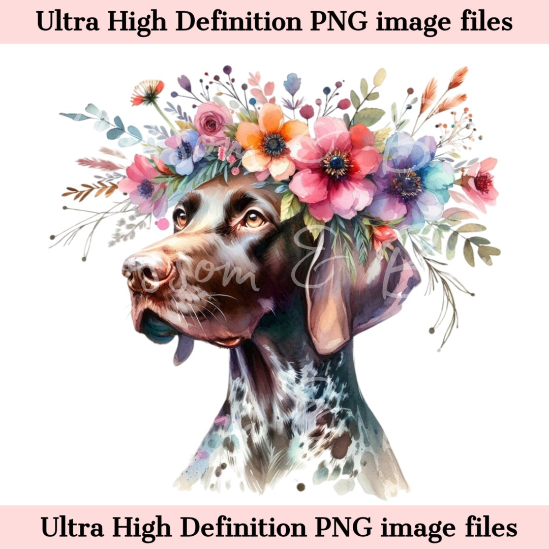 Digital German Shorthair Pointer PNG Elegant Watercolor Dog PNG- Floral ...