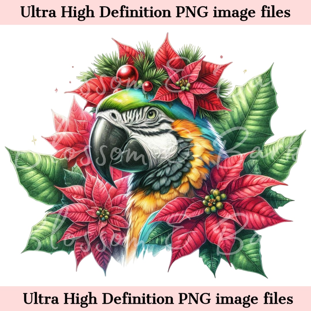 Digital Christmas Macaw PNG Holiday Pet Art - Macaw Parrot Owner PNG ...