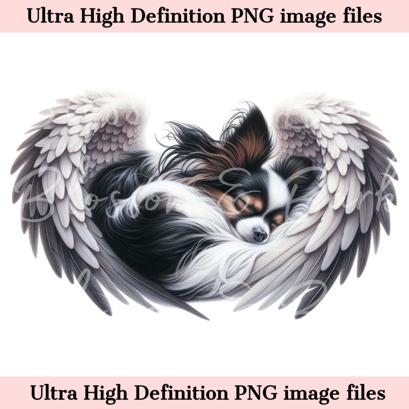 Papillon Angel - Etsy