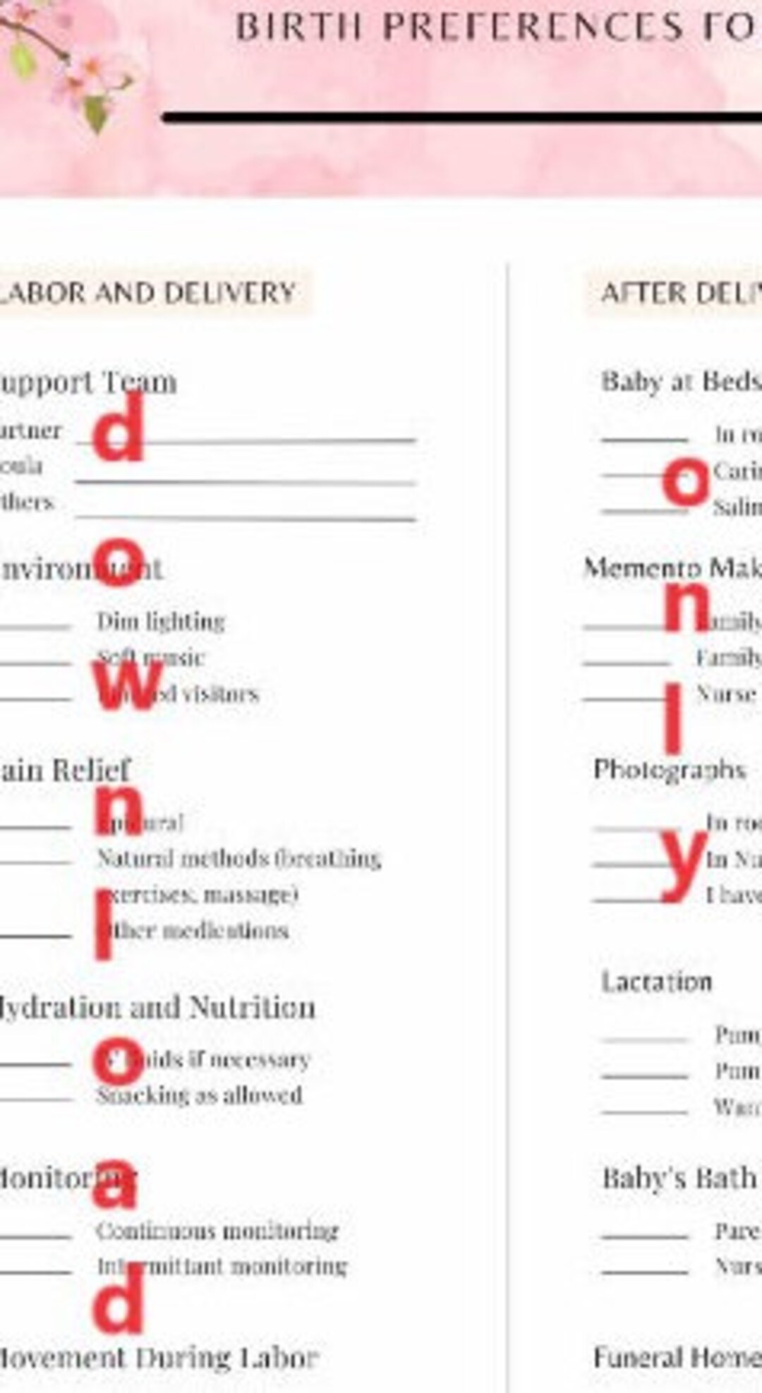 Birth and Bereavement Preference Sheet - Etsy