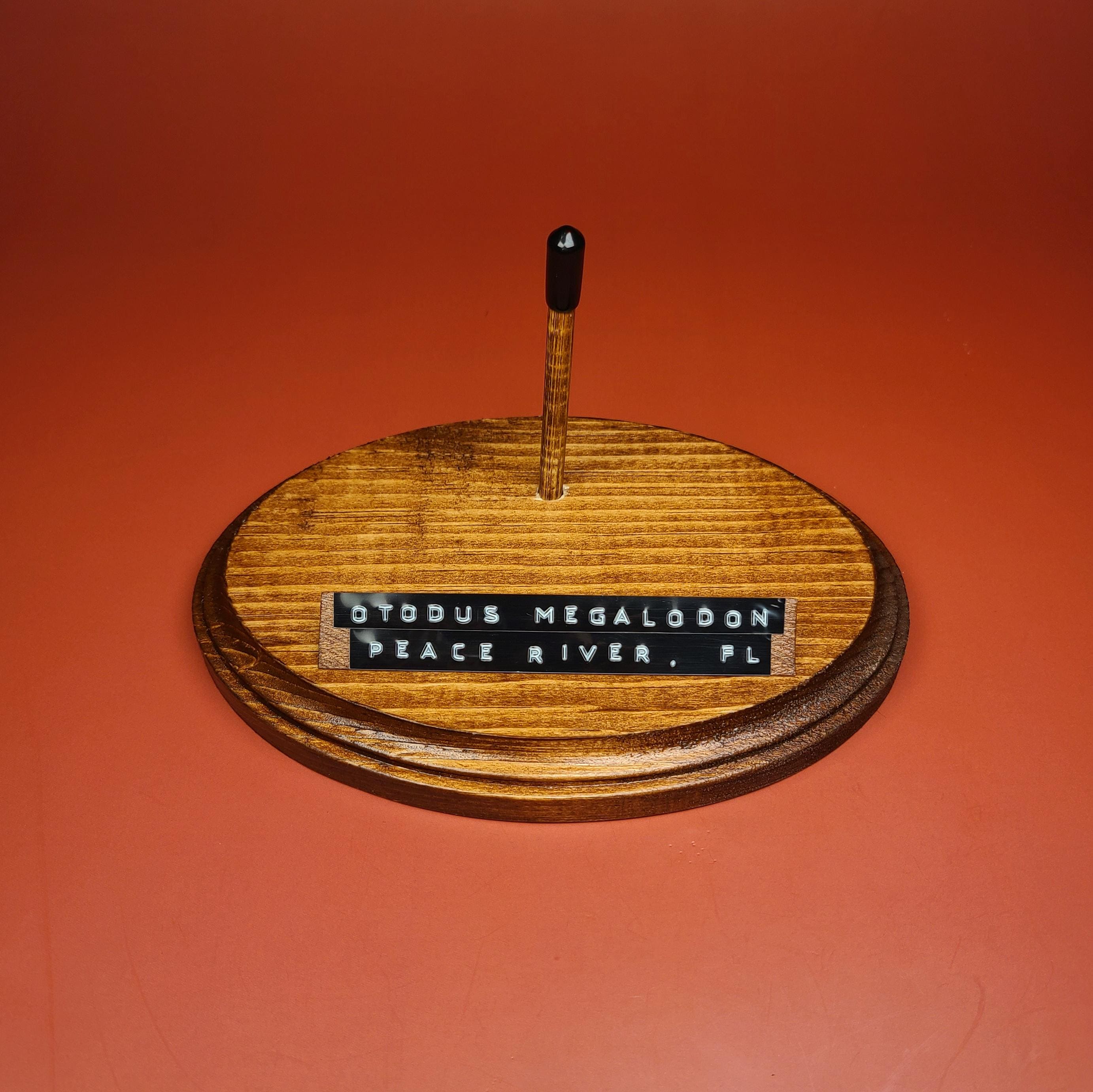 Megalodon Shark Tooth Display Stand - Etsy