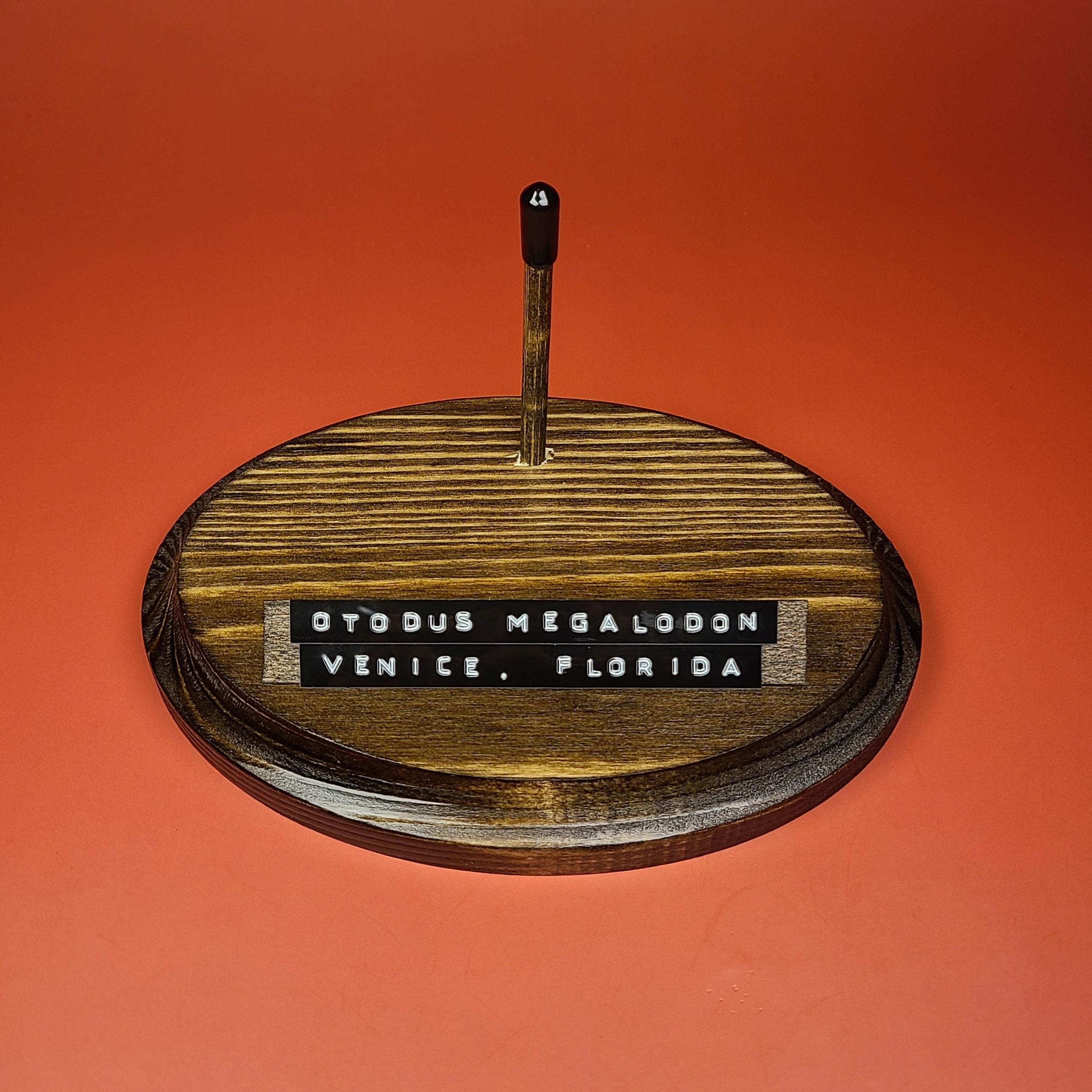 Megalodon Shark Tooth Display Stand - Etsy