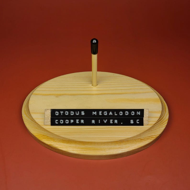 Megalodon Shark Tooth Display Stand - Etsy