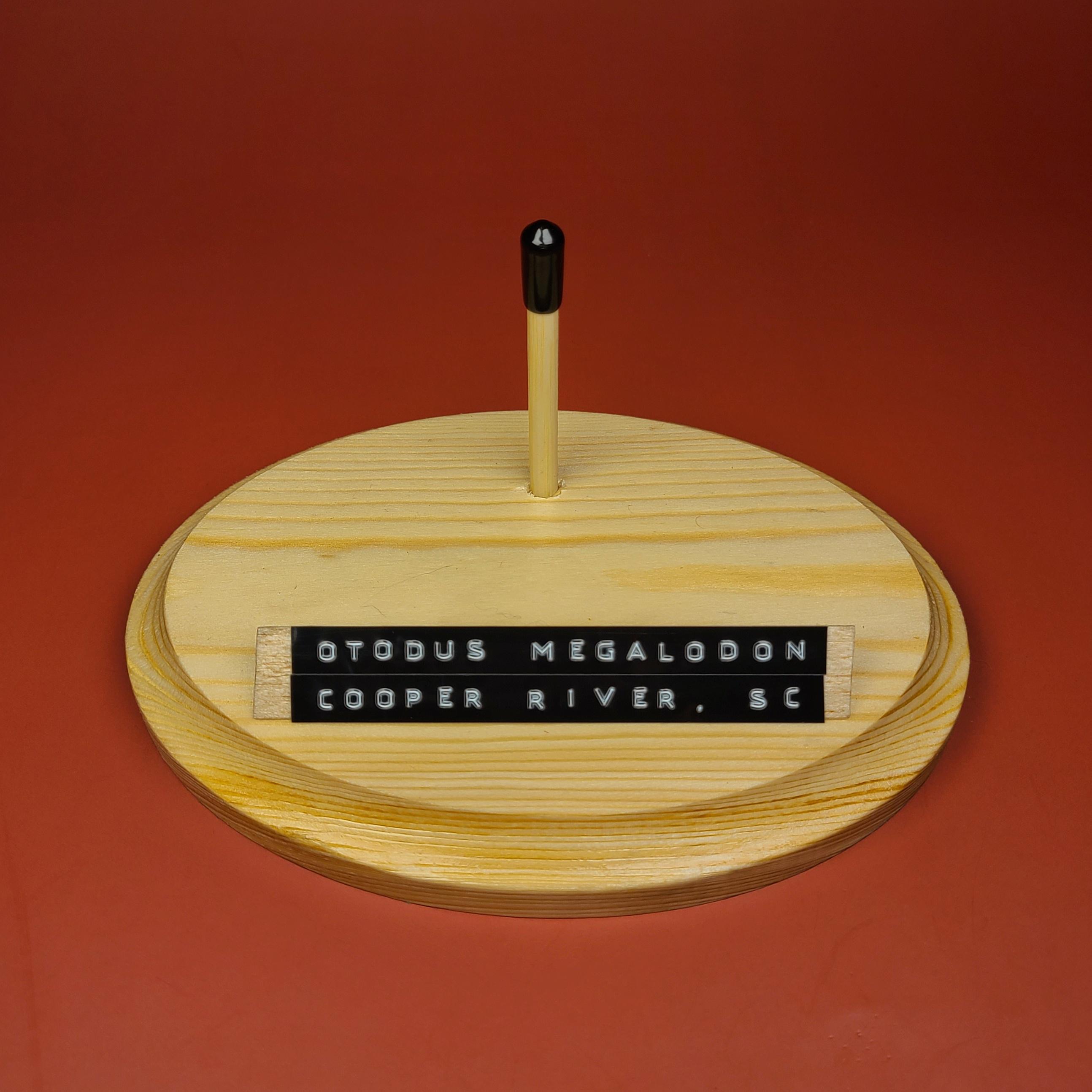 Megalodon Shark Tooth Display Stand - Etsy