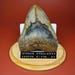 Authentic Megalodon Tooth 5.47 meg Ledge, NC - Etsy