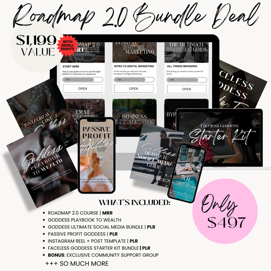 Roadmap 2.0 Master Resell Rights MRR, Digital Marketing & Passive ...