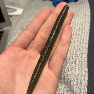 5 Senko/stick Bait Style Worms 6 Pack - Etsy