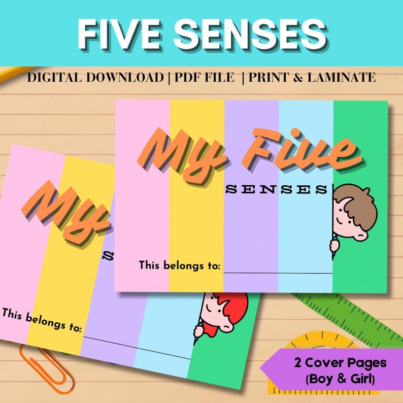 Five Senses Sorting Activity: Homeschool Learning (digital Download) - Etsy