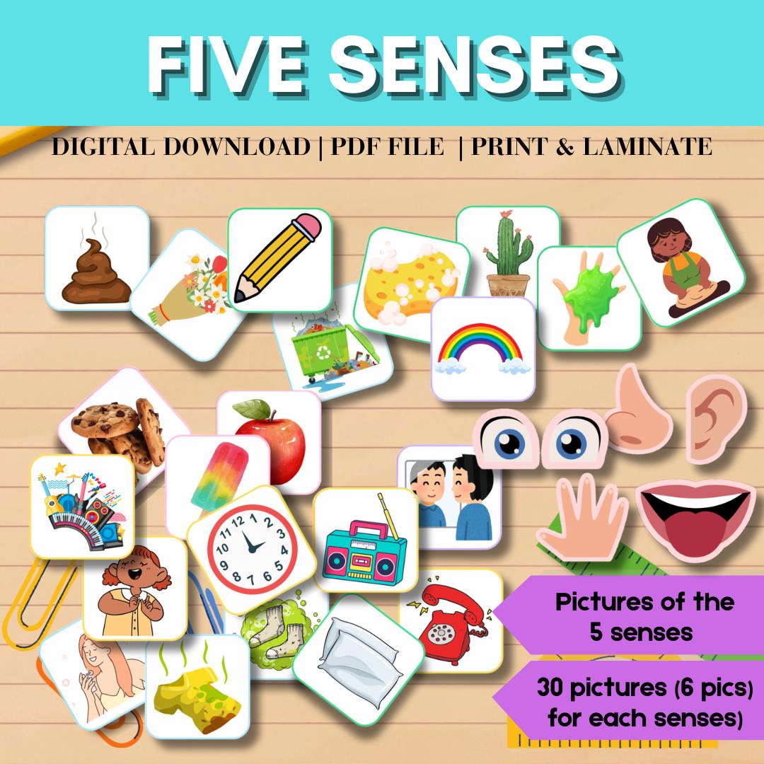 Five Senses Sorting Activity for Preschool 5 Senses Sorting Activities ...