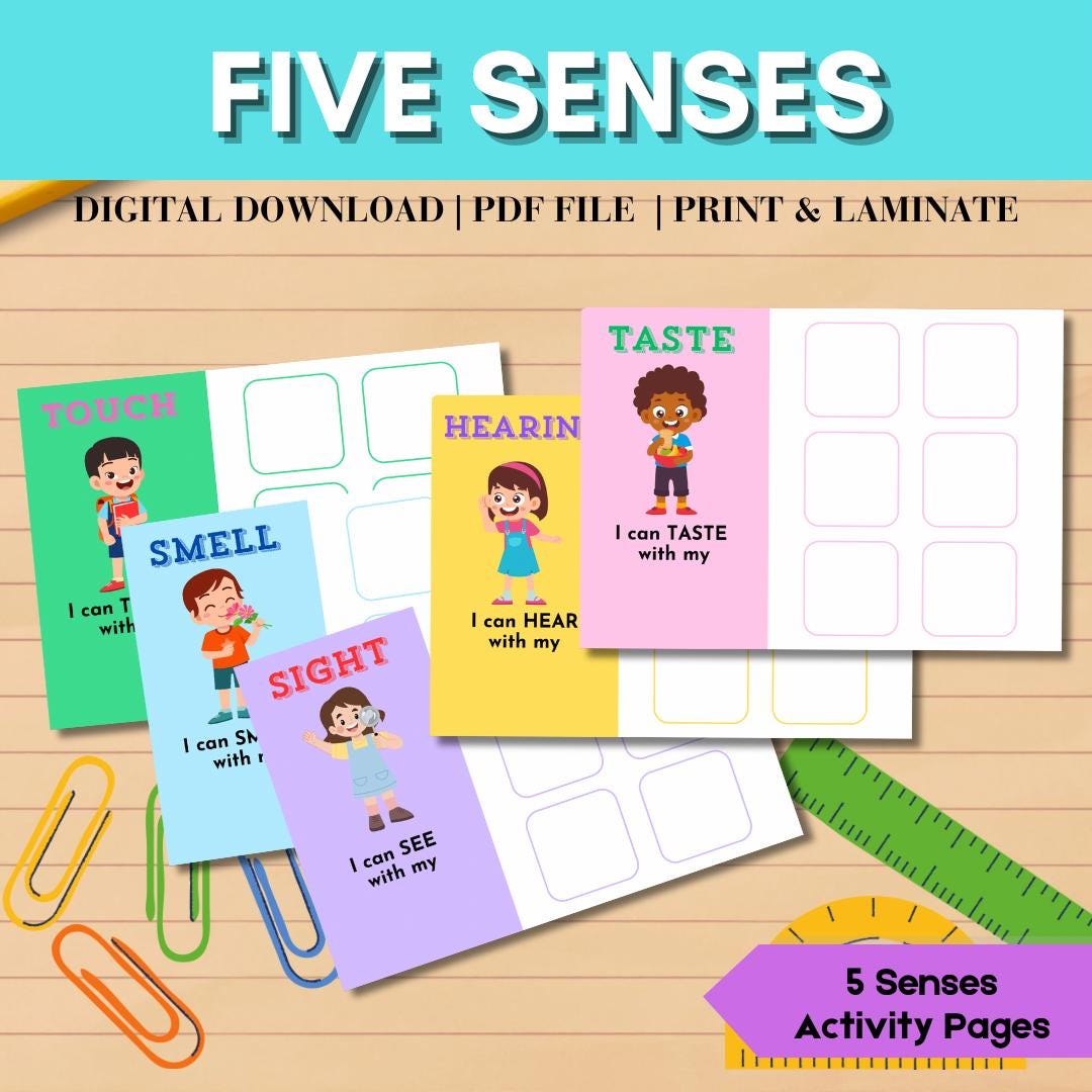 Five Senses Sorting Activity for Preschool 5 Senses Sorting Activities ...