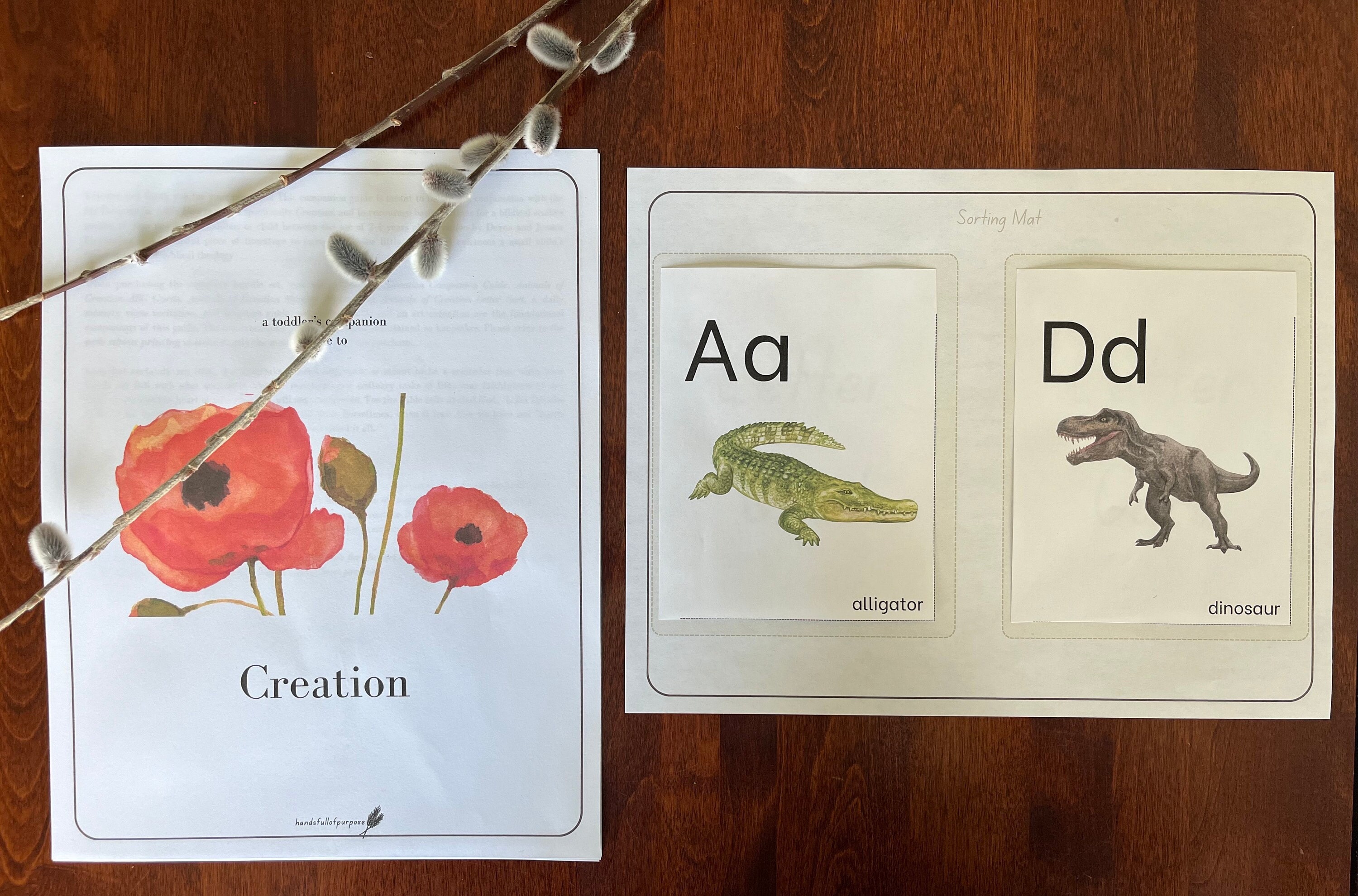 Animals of Creation Letter Sort - Etsy