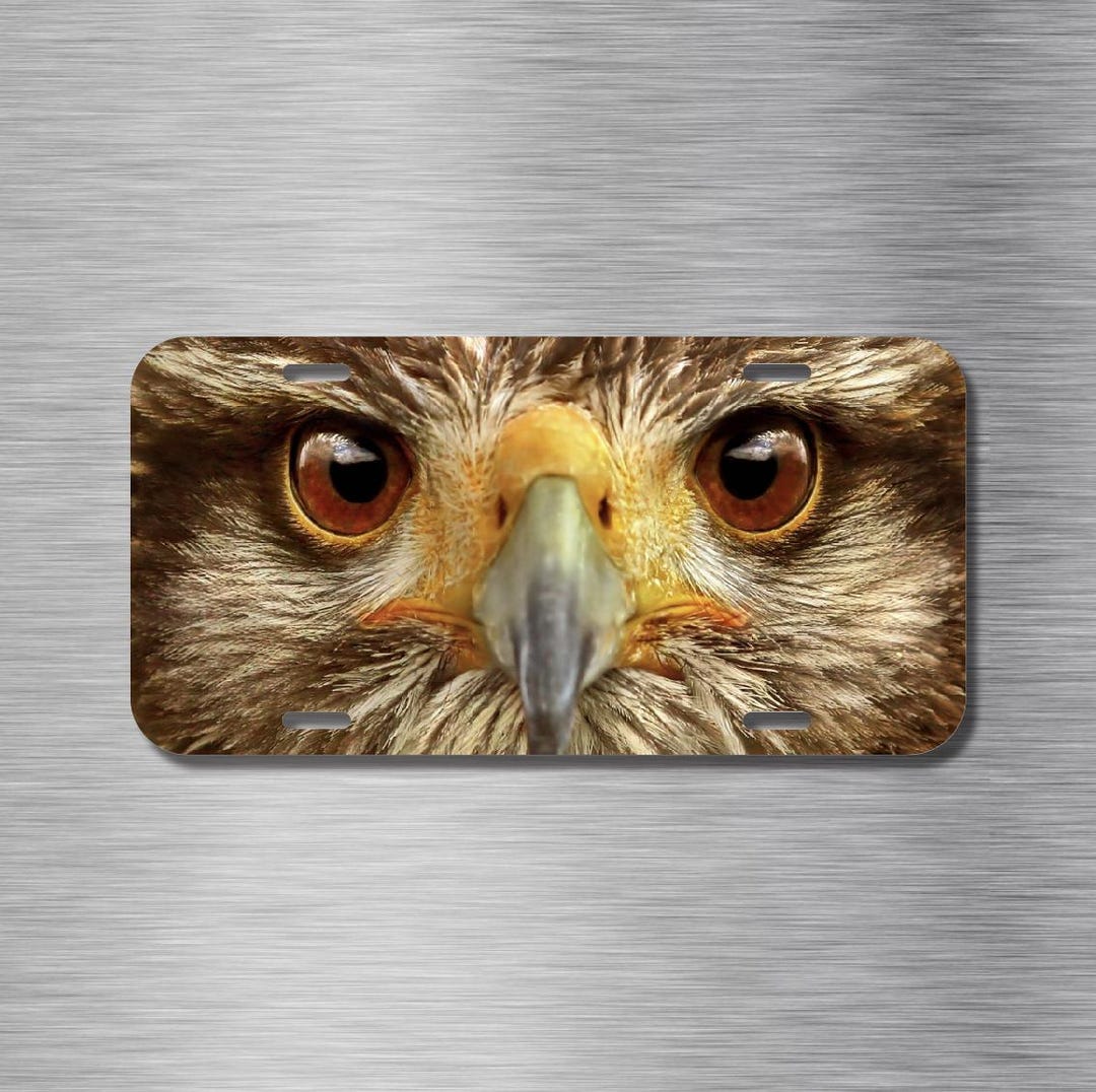 Eagle Hawk Face Vehicle Auto Tag 6"x12" X 0.65mm Metal Aluminum ...