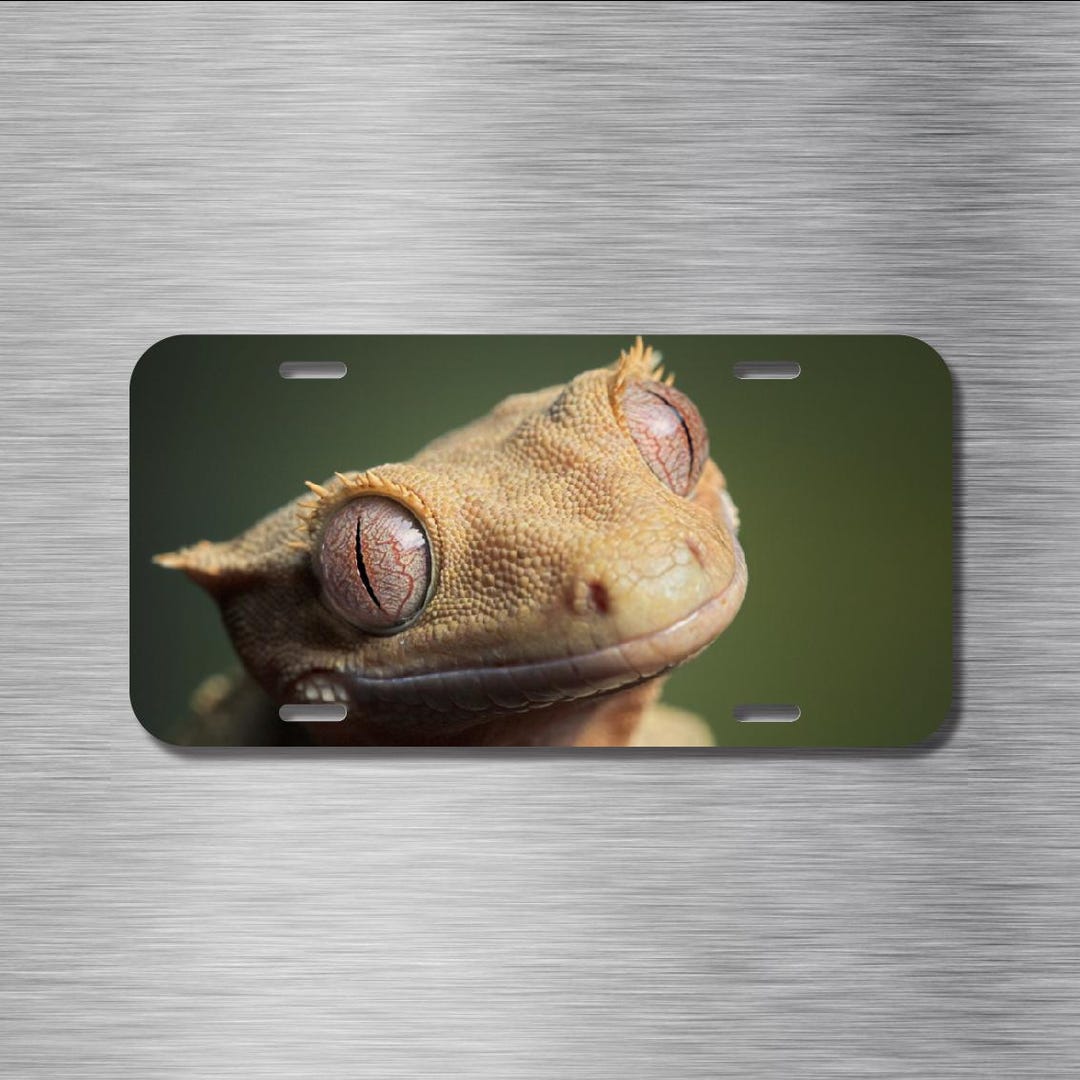 Crested Gecko Reptile Lizard Vehicle Auto Tag 6"x12" X 0.65mm Metal ...