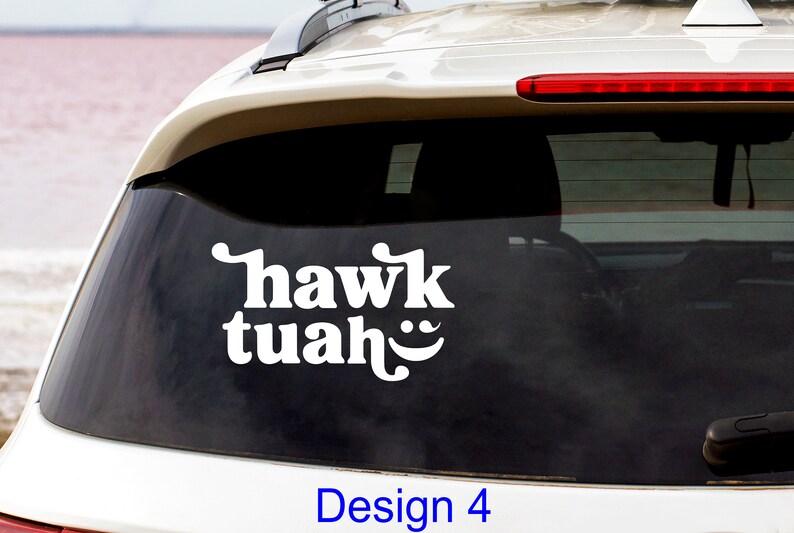 Hawk Tuah Car Decal, Multiple Sizes - Etsy