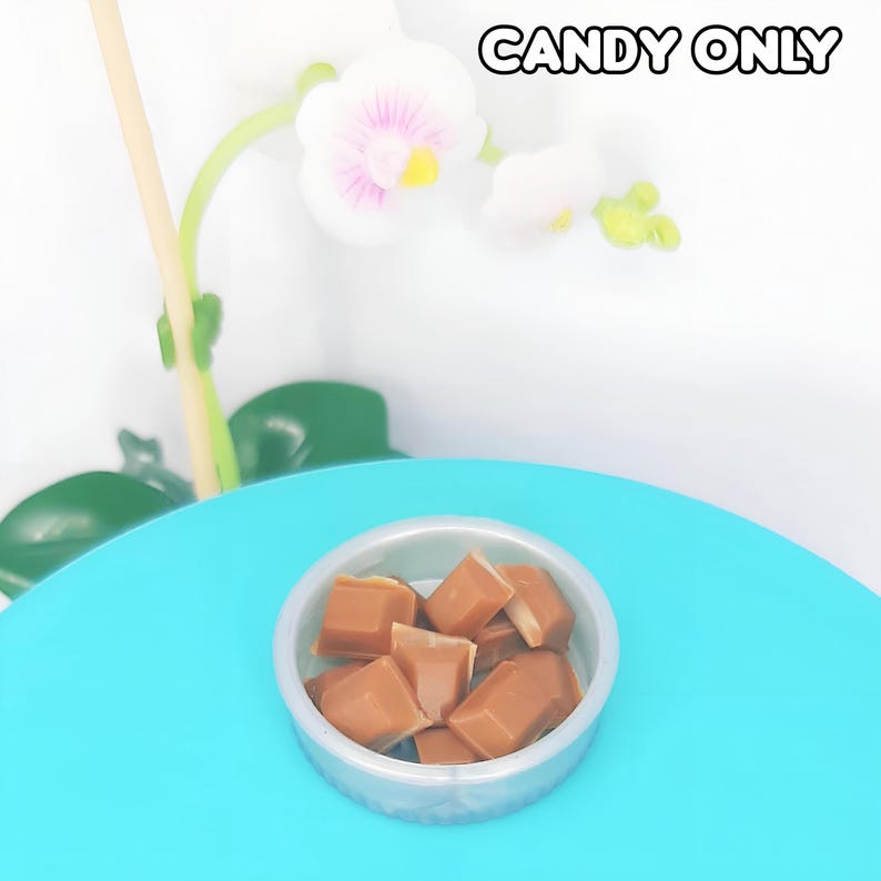 Mini Chocolate Chunks miniverse Ingredient - Etsy