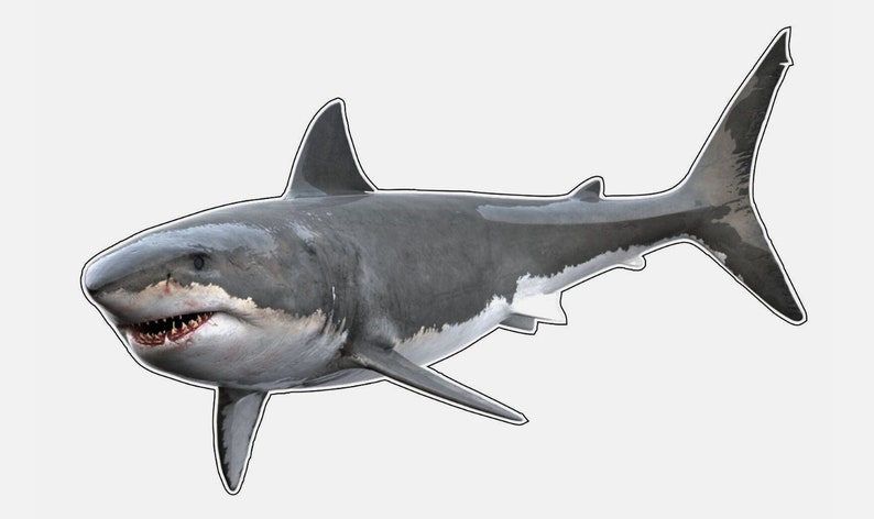 Great White Shark Sticker Vinyl Decal Boating Beach Ocean Fish Scuba - Etsy