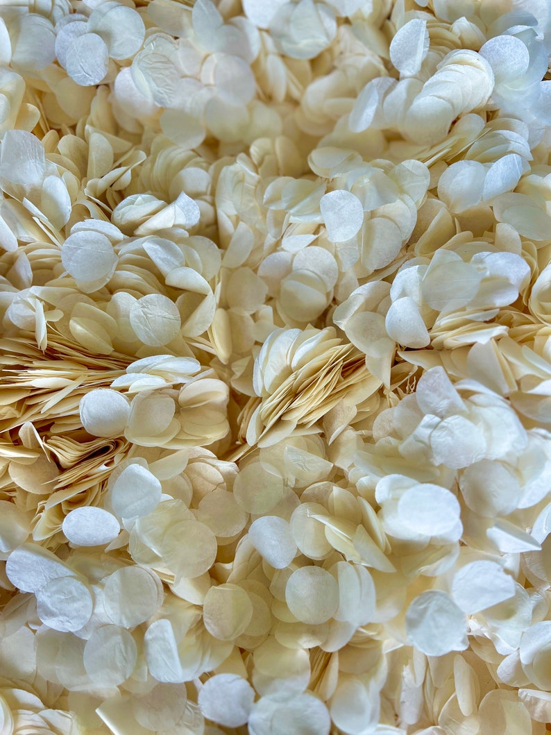 Wedding Confetti Mix, Celebration Party, Gender Reveal Confetti for ...
