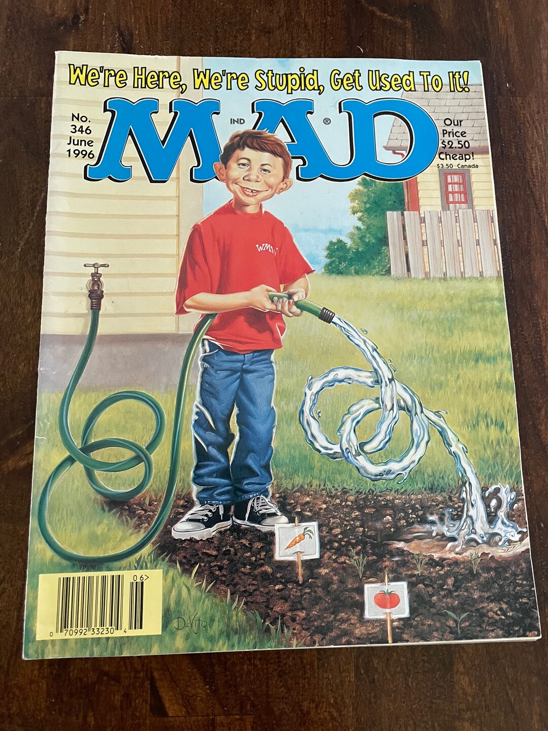 June 1996 Mad Magazine Issue No 346 We're Here, We're Stupid, Get Used ...