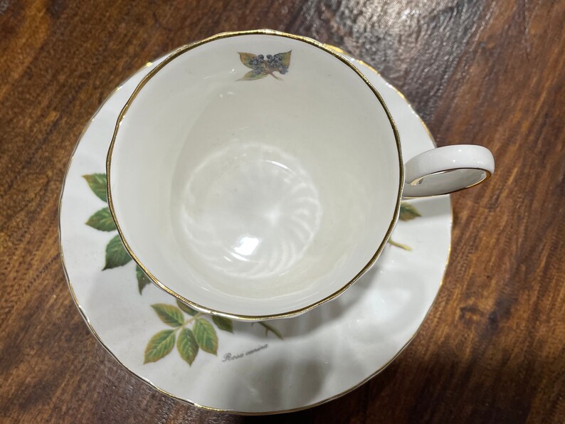 Vintage Regency Bone China Cup and Saucer Made in England - Etsy