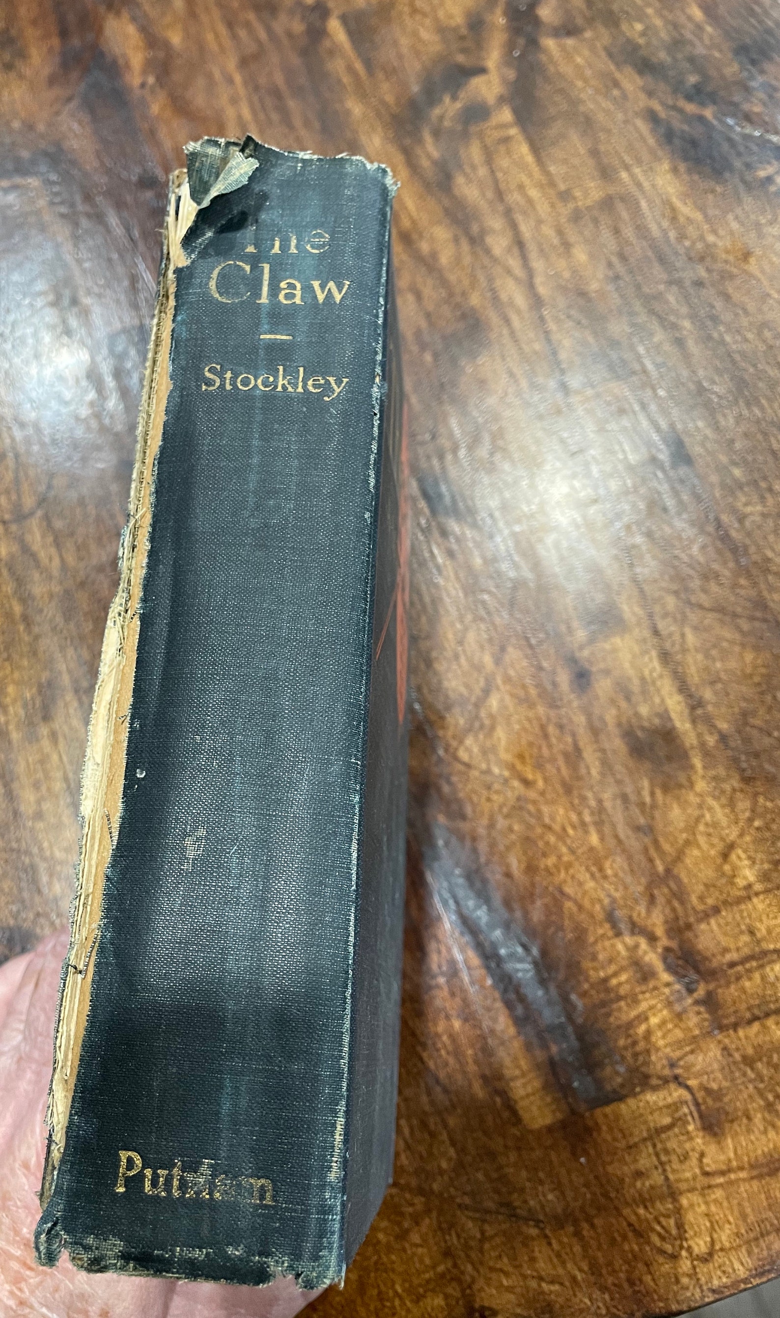 1911 the Claw A Story of South Africa First Edition Hardback - Etsy