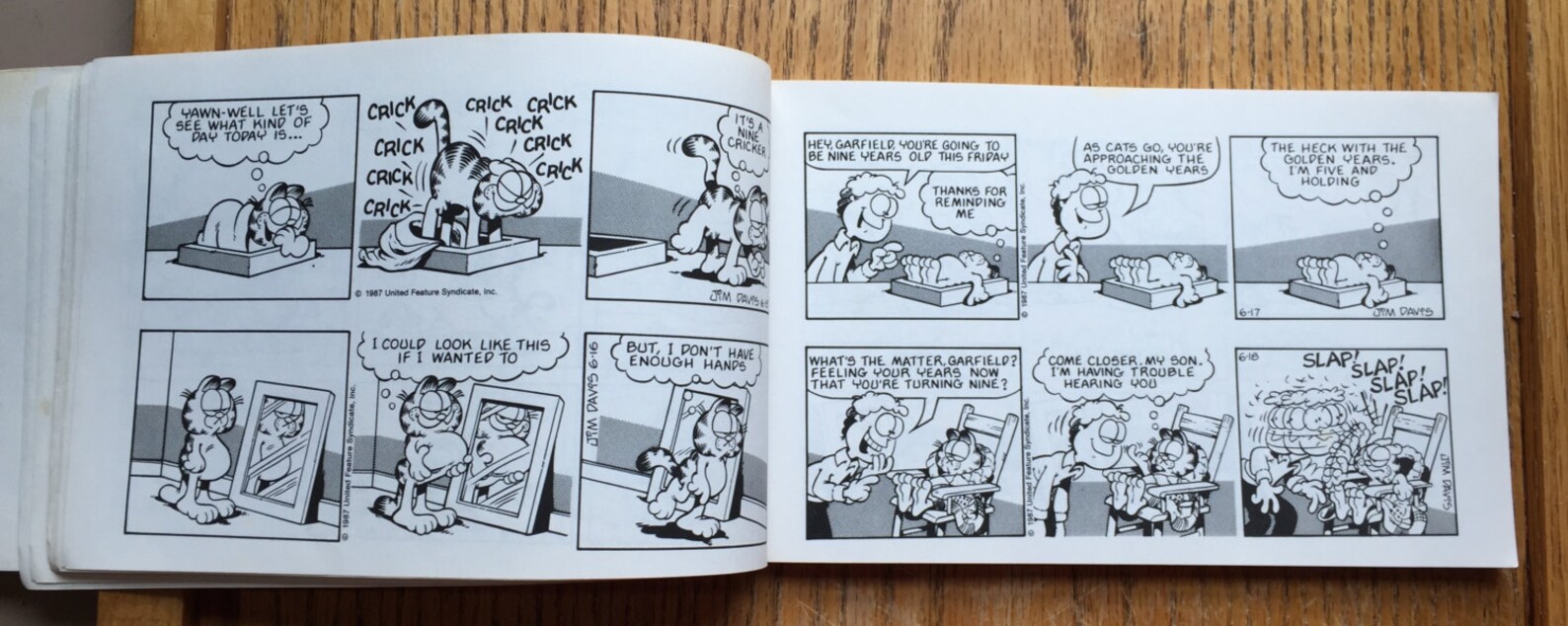 1988 First Edition Garfield Rounds Out 16th Book - Etsy