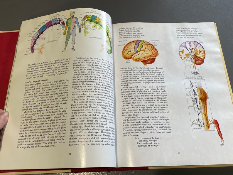 1984 the Brain Mystery of Matter and Mind Hardback - Etsy