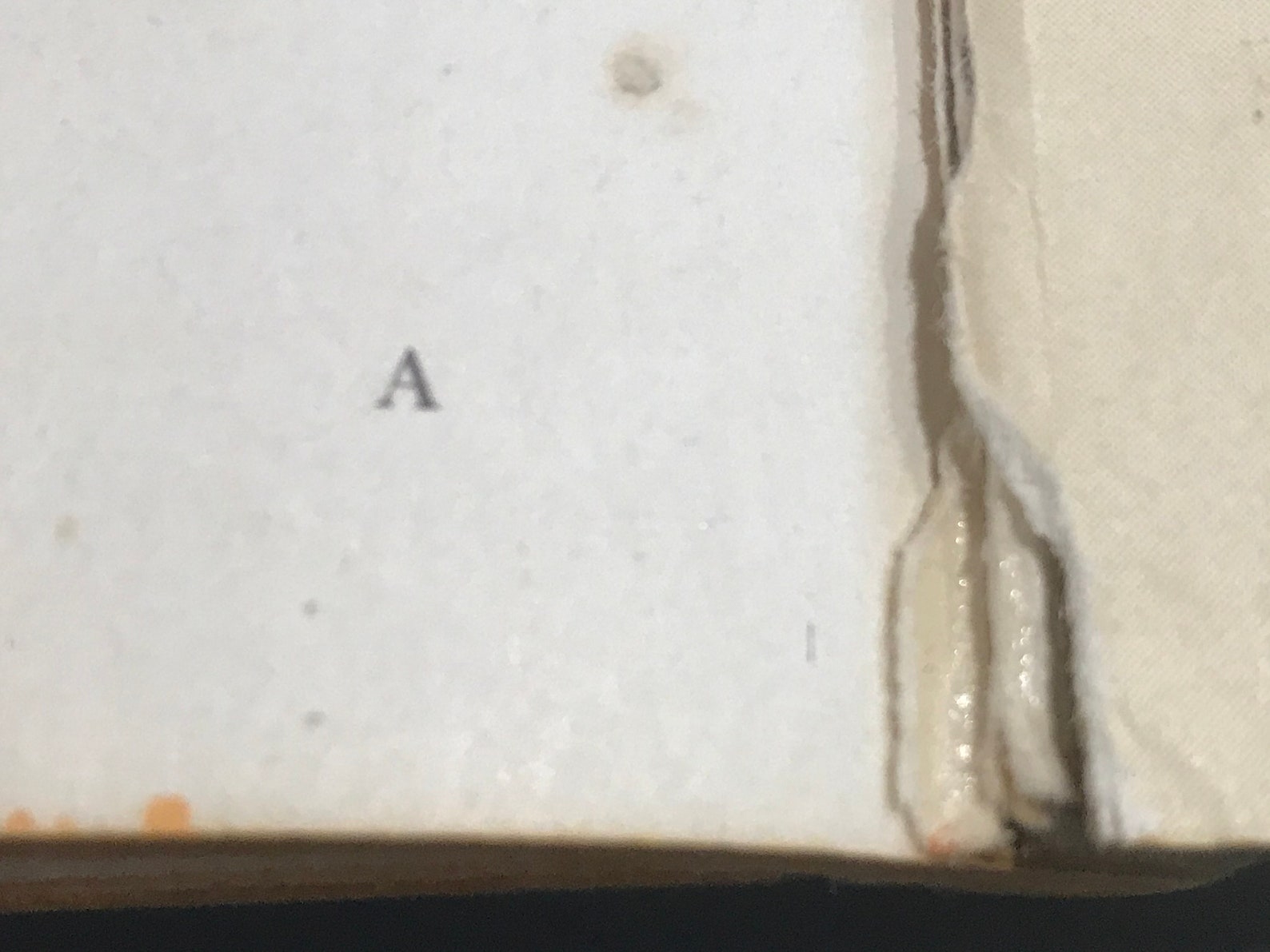 Rare 1947 Noises and Mr. Flibberty-fib Golden Book First - Etsy