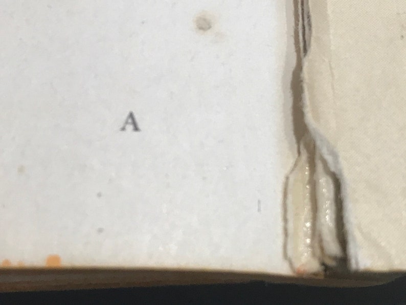 Rare 1947 Noises and Mr. Flibberty-fib Golden Book First - Etsy