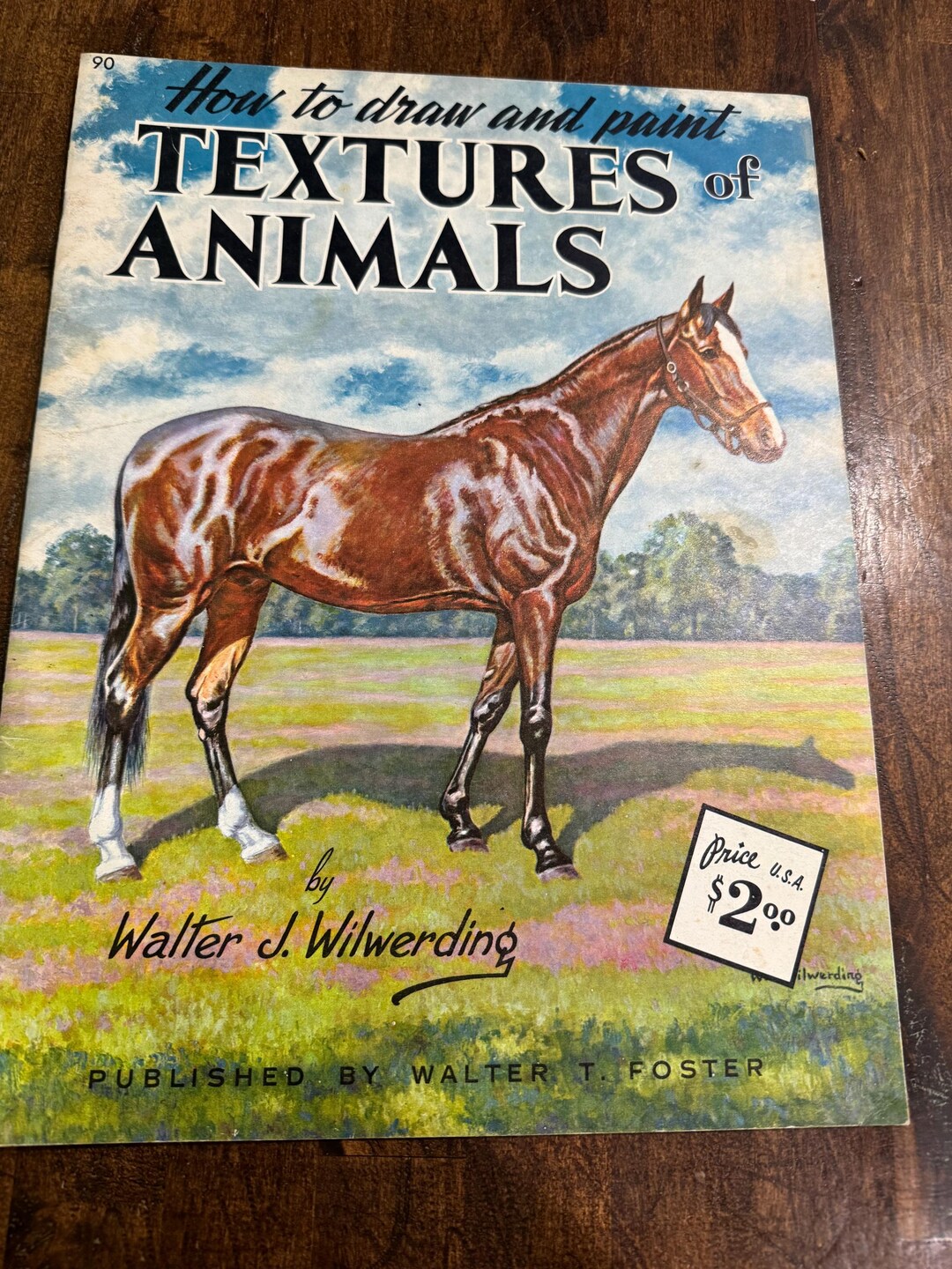 1950's How Draw and Paint Textures of Animals by Walter J Wilwerding ...