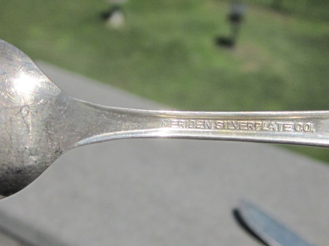 Meridian Silverplate Bon Bon Spoon and Butter Knife | Etsy