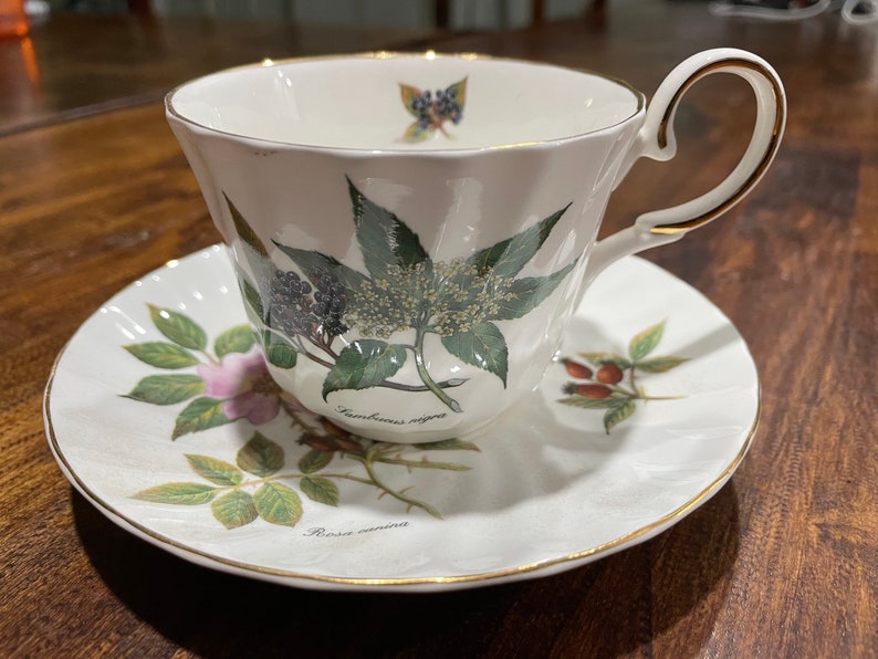 Vintage Regency Bone China Cup and Saucer Made in England - Etsy